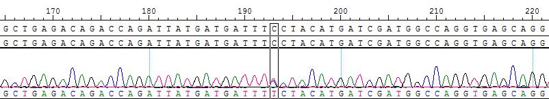 Endometrial Cancer Precise Molecular Typing Reference Standard - CB-Gene